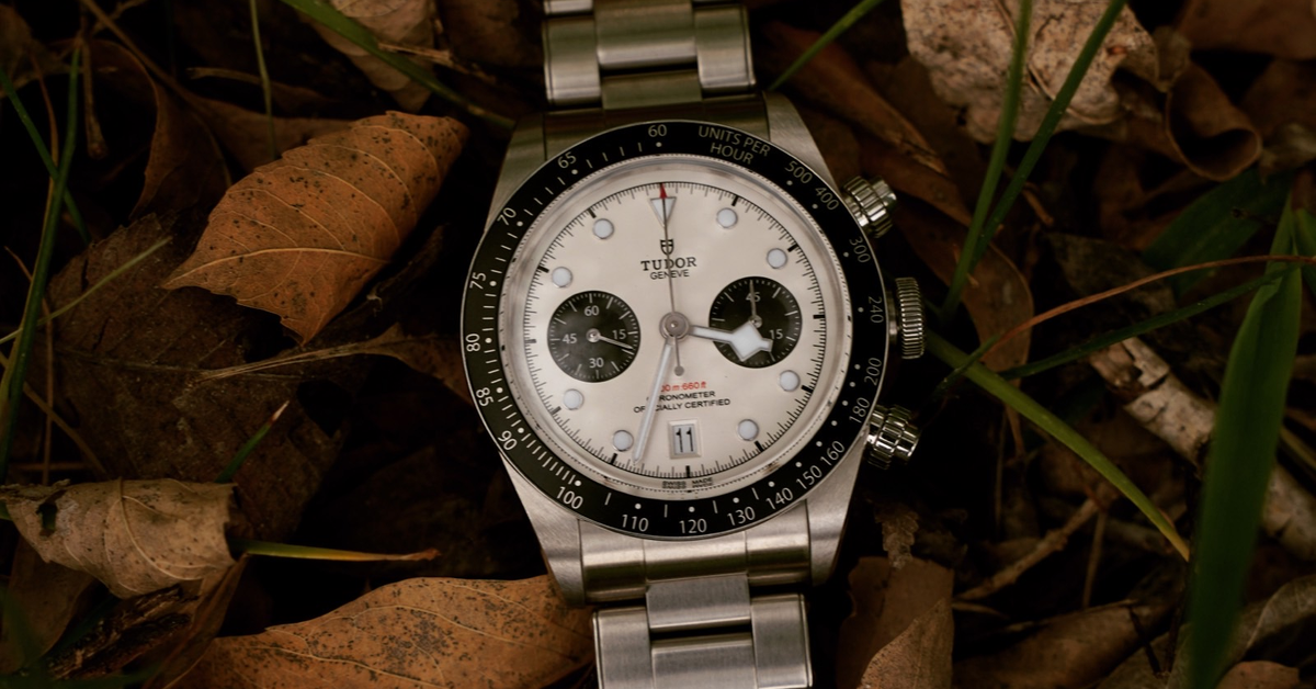 Black Bay “Baytona” Panda Dial in nature | WatchCrunch