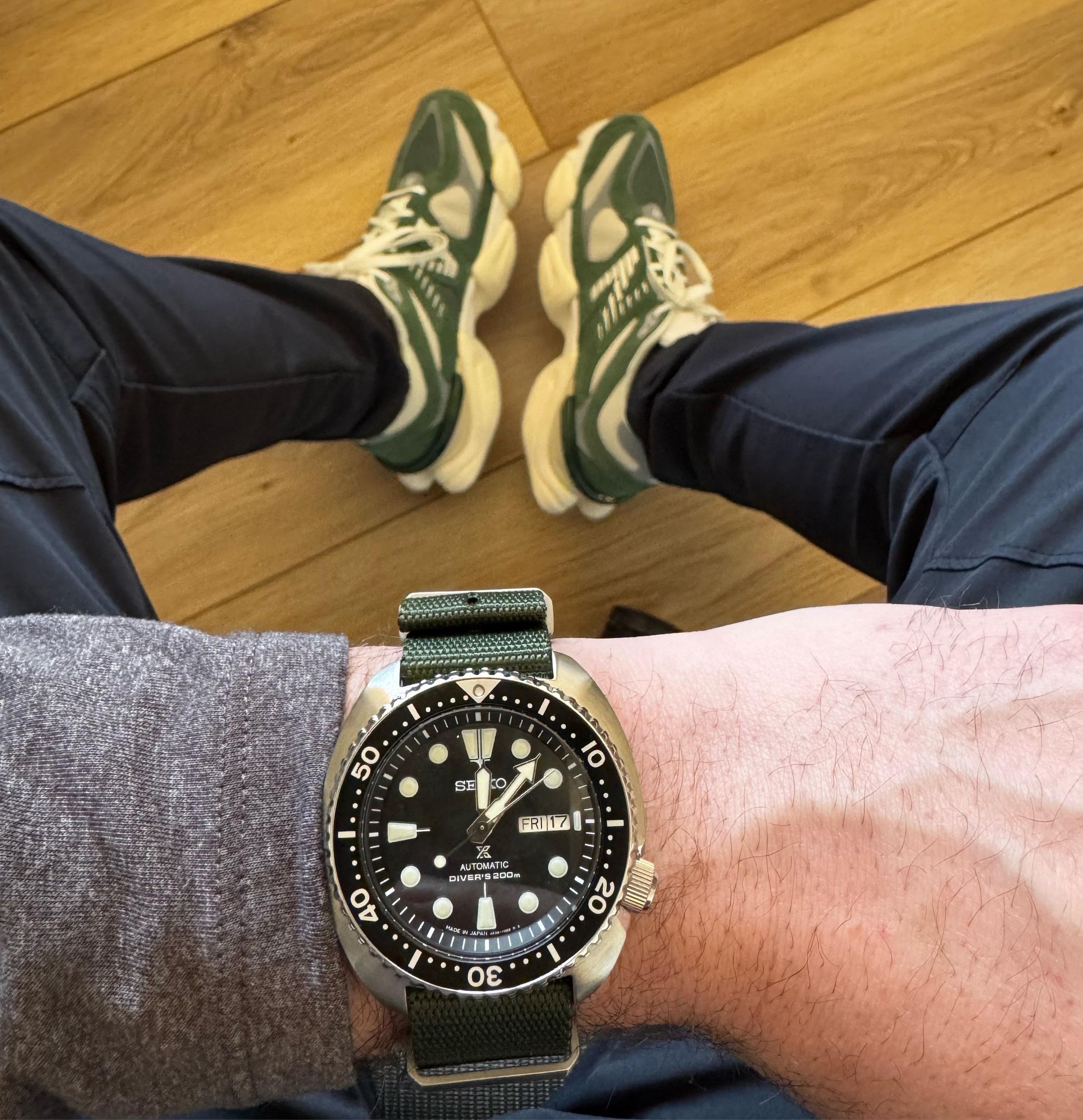 Turtle! | WatchCrunch