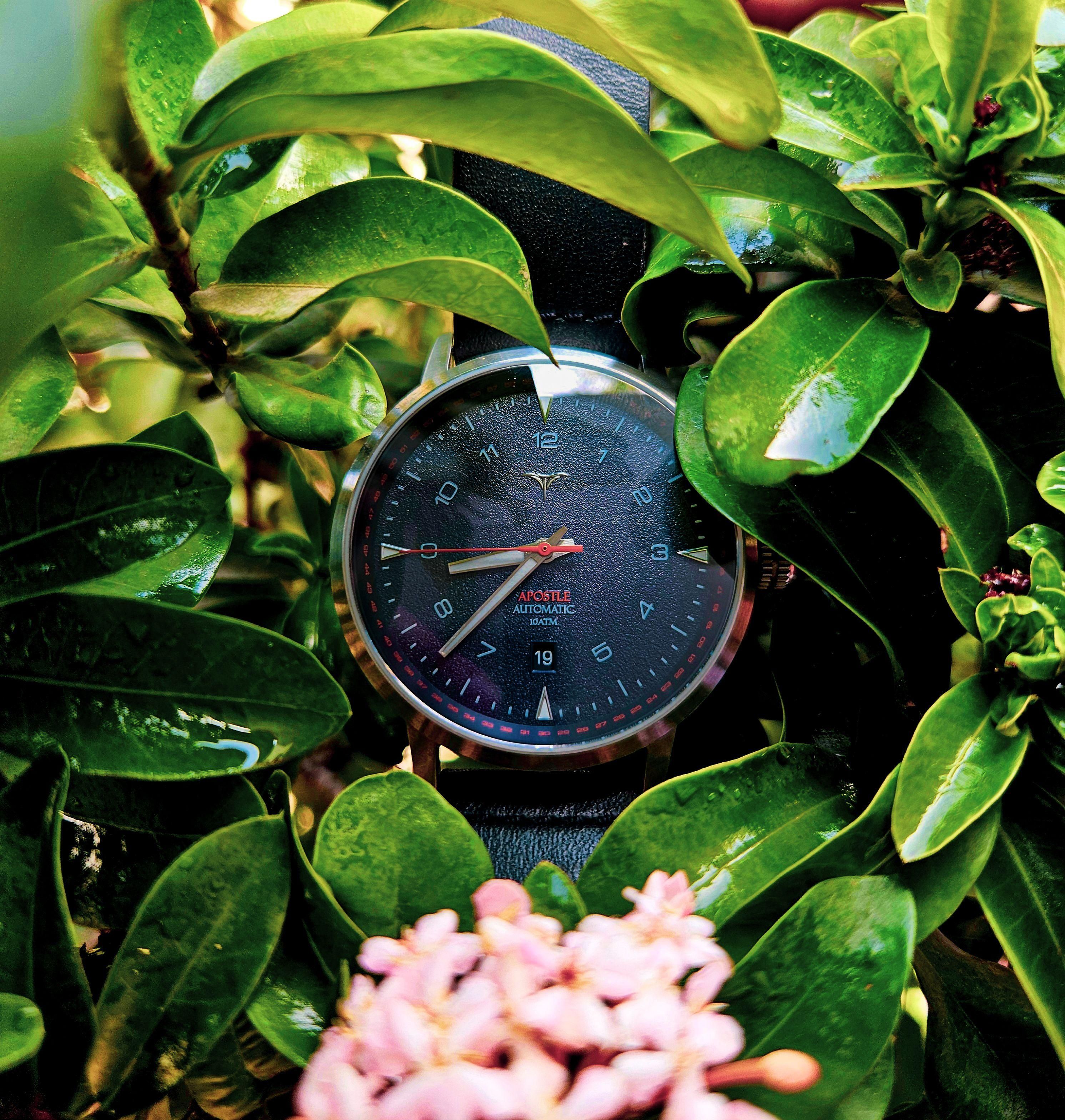 Wristcheck April 19, 2025 | WatchCrunch