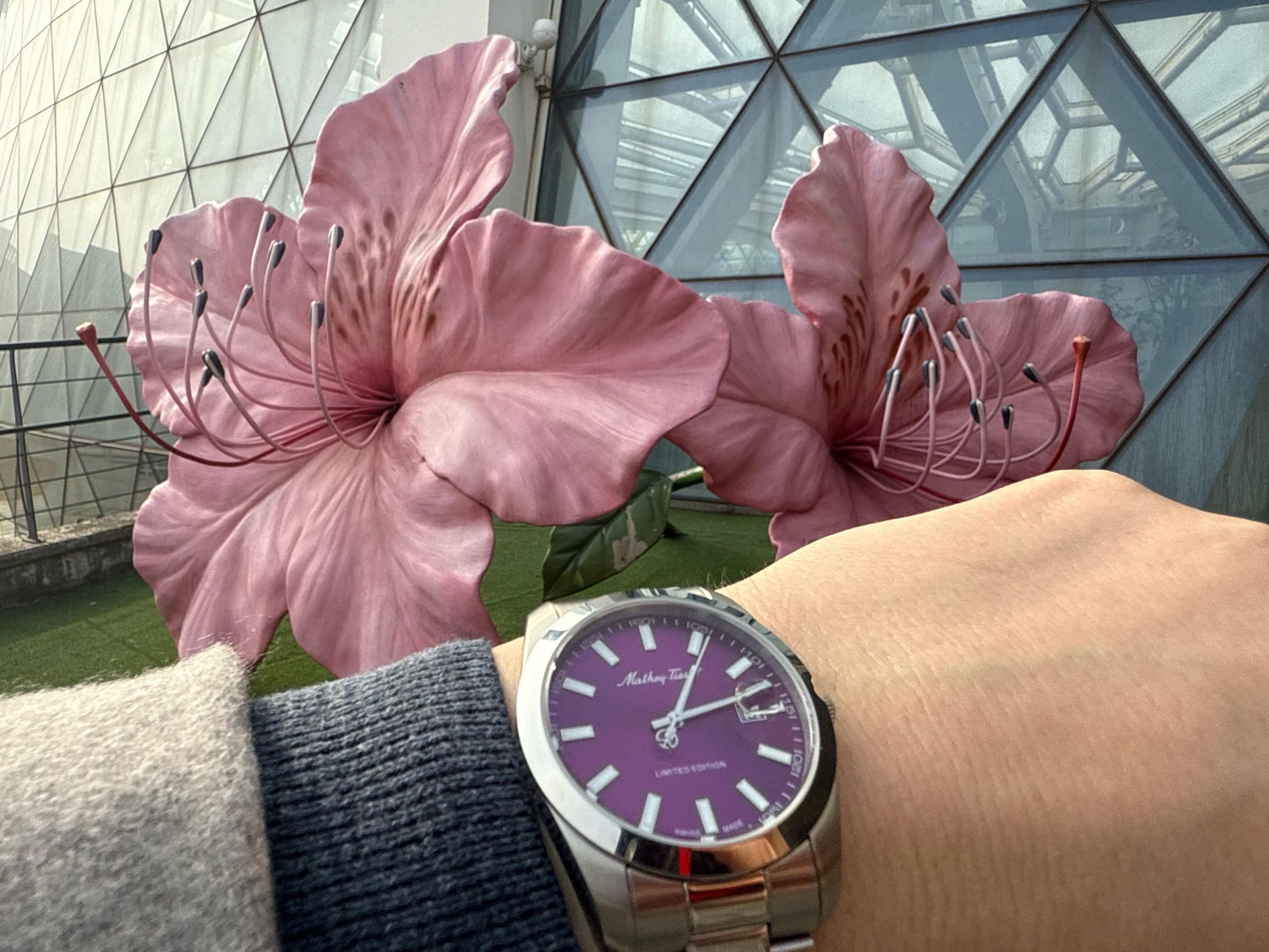 The #purplepilgrim is travelling the world - today: South Korea ...