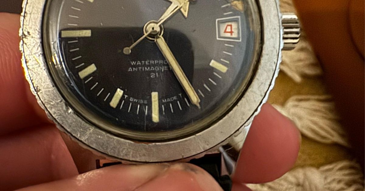 [Helsa - Skin Diver] 2024 Project Watch. Advice needed | WatchCrunch