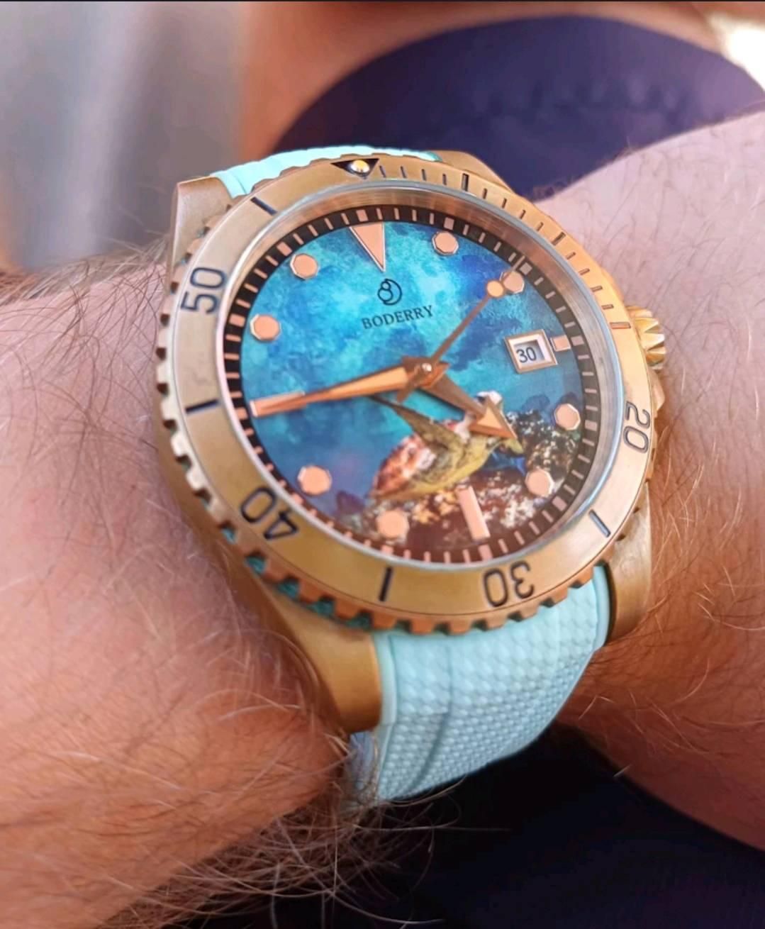 Boderry sea turtle bronze | WatchCrunch