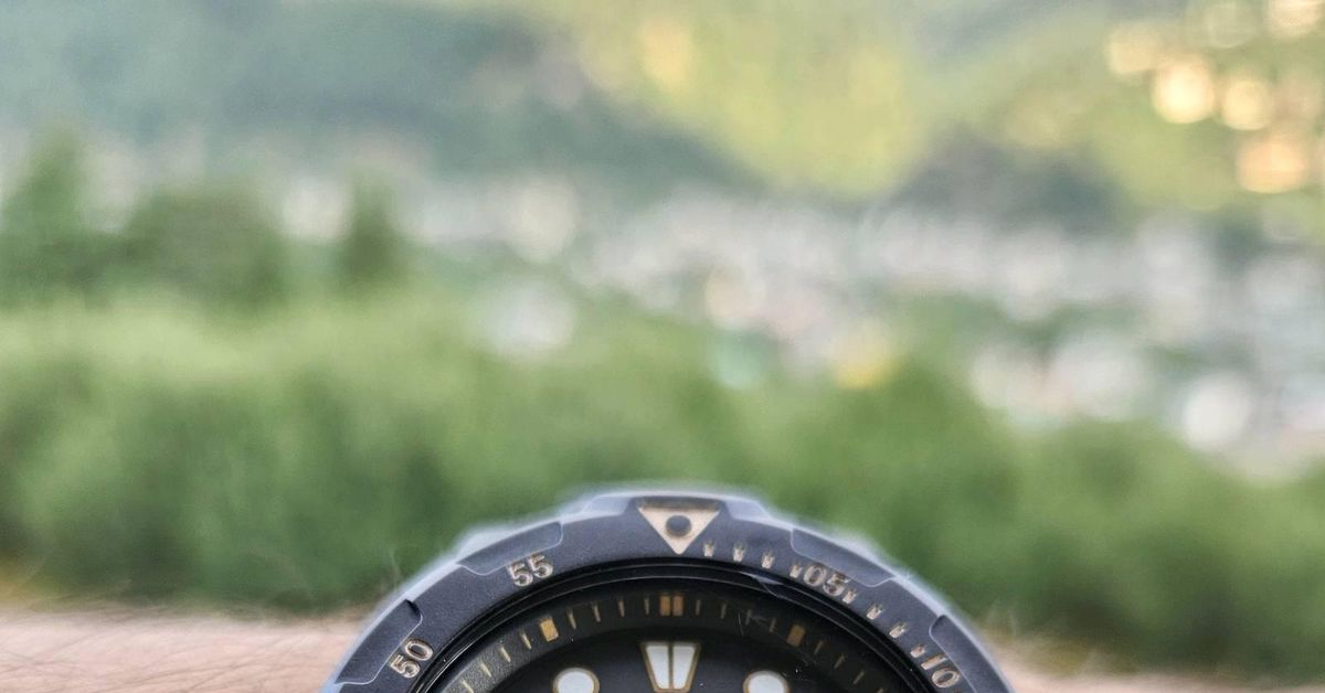 Wristcheck June 24, 2024 | WatchCrunch