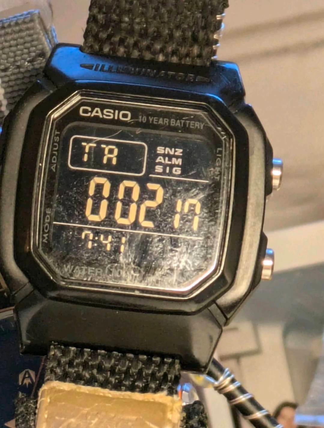Casio W-800H-1BV | WatchCrunch