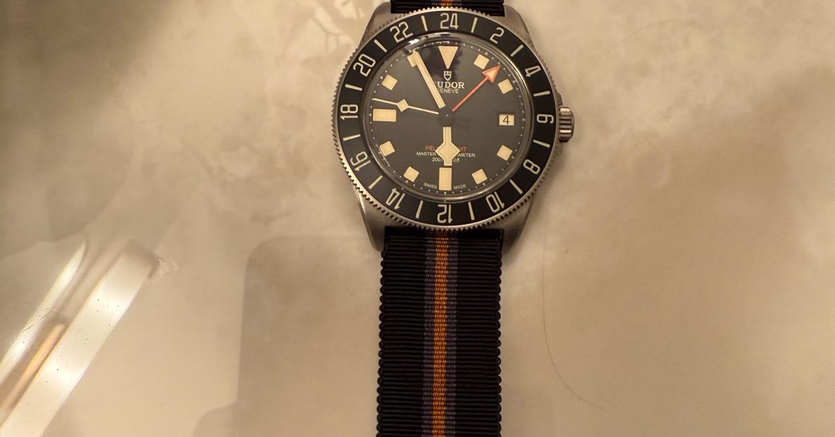 Tudor Pelagos GMT- Color Coordinated with Heritage NATO | WatchCrunch