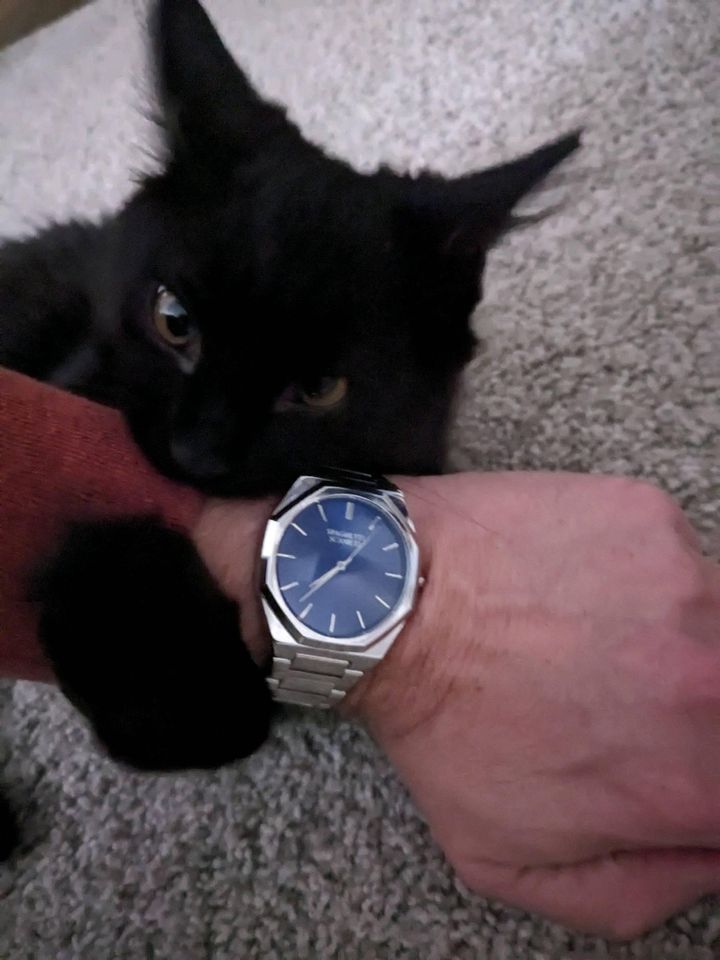 Top tier watch list ranking on Reddit | WatchCrunch