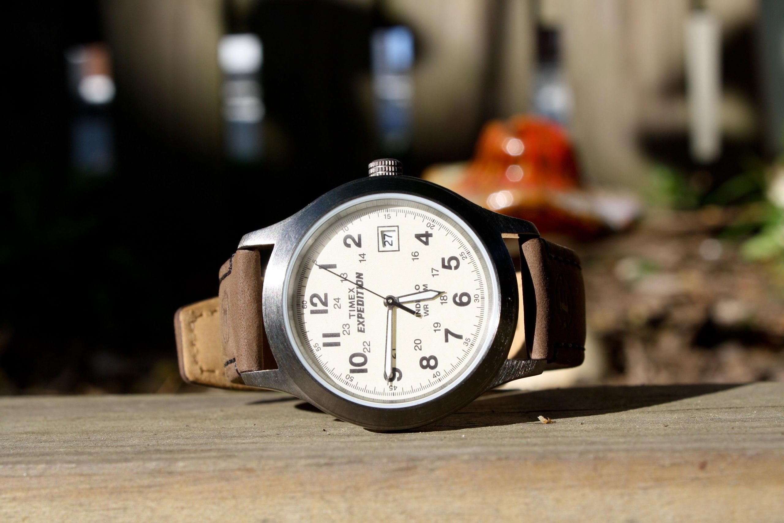 Timex Expedition | WatchCrunch