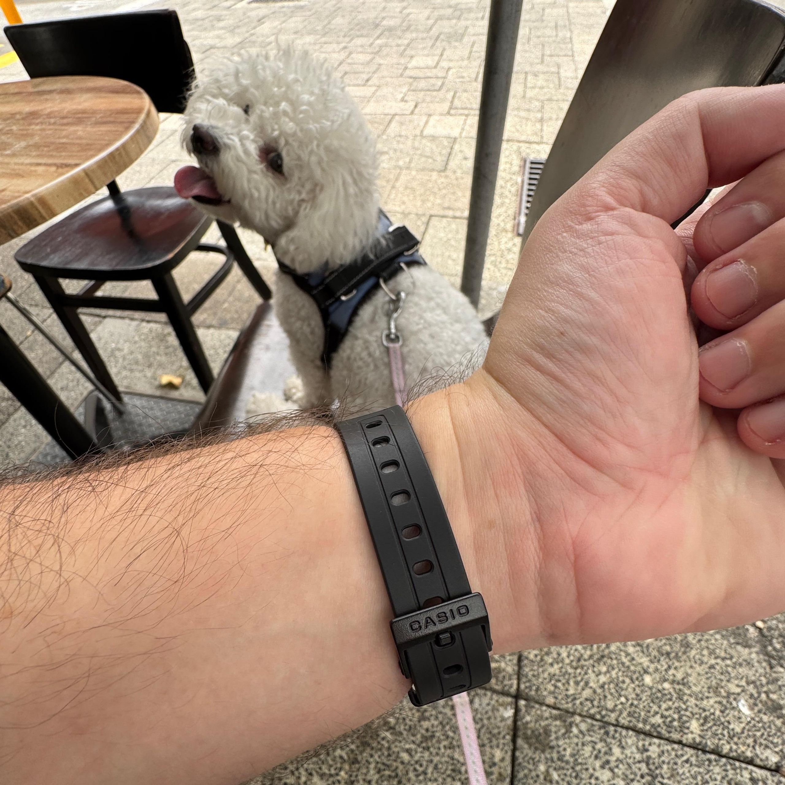 Casio F-105W | WatchCrunch