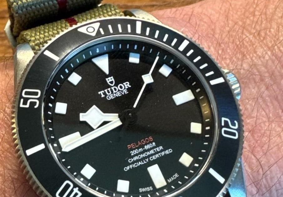 Tudor Pelagos 39 | WatchCrunch