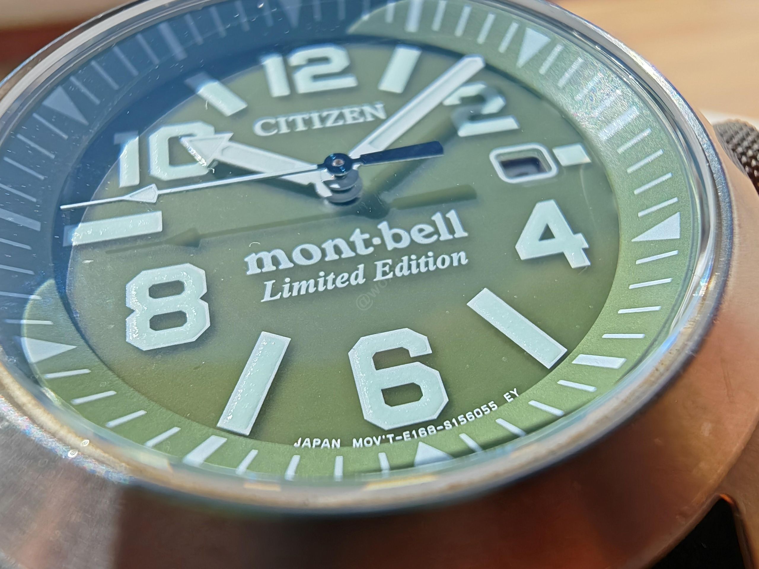 Citizen Promaster Montbell Bn0121 18x Watchcrunch