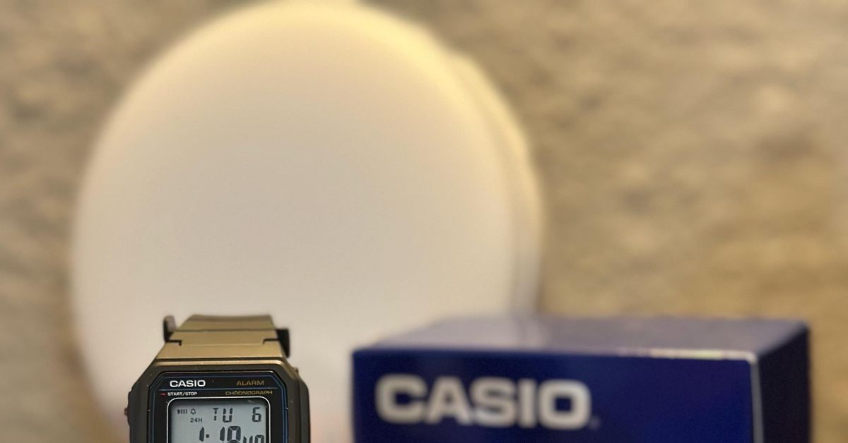 Casio W217H | WatchCrunch