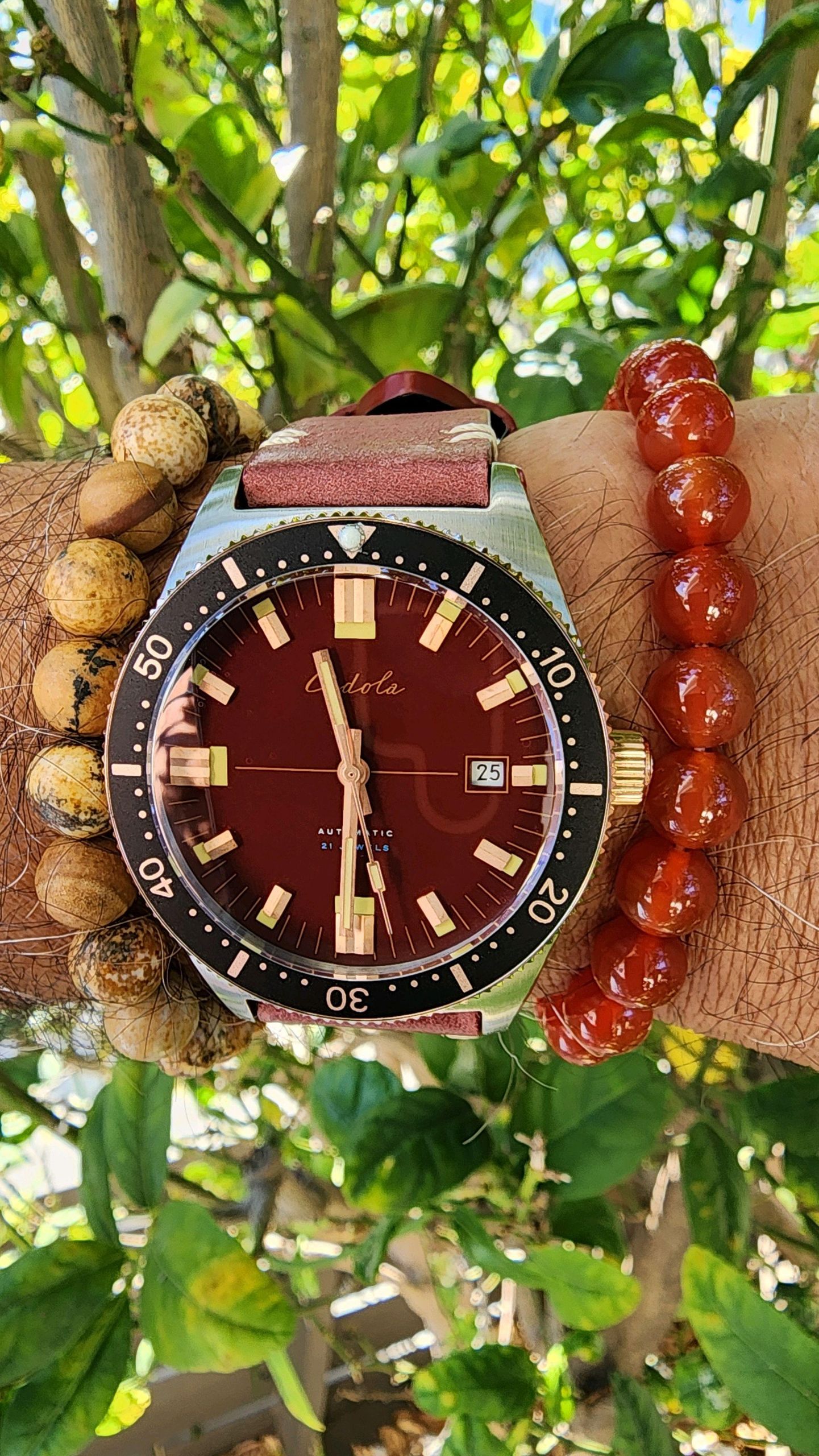 RED TIDE READY | WatchCrunch