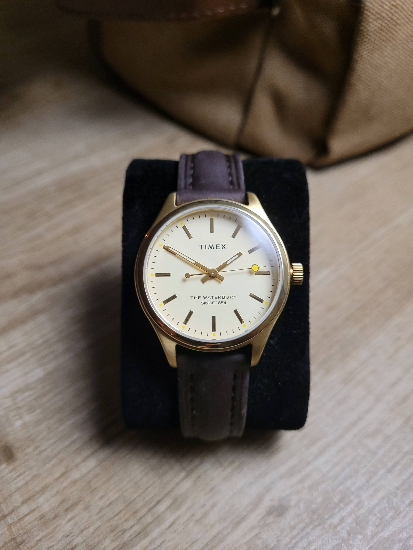 Timex Waterbury Neon | WatchCrunch