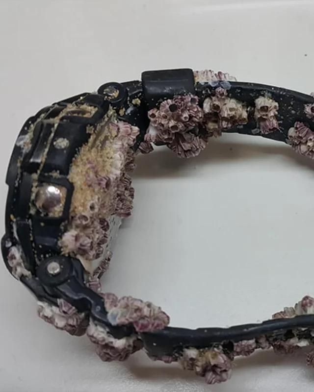 G-Shock found on the sea floor by a diver | WatchCrunch