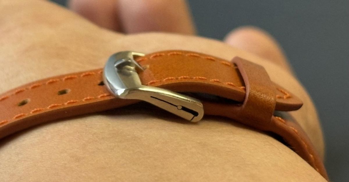 Review: Fitwell M1 Micro-Adjust Buckle | WatchCrunch