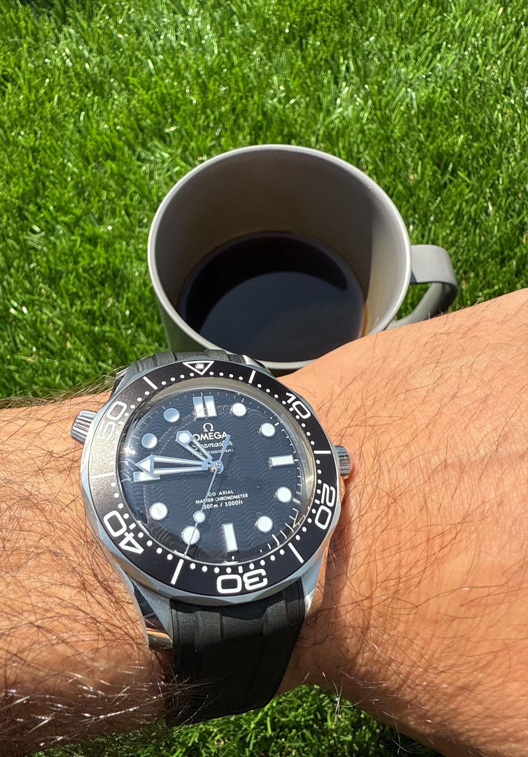 Wristcheck March 29, 2025 | WatchCrunch