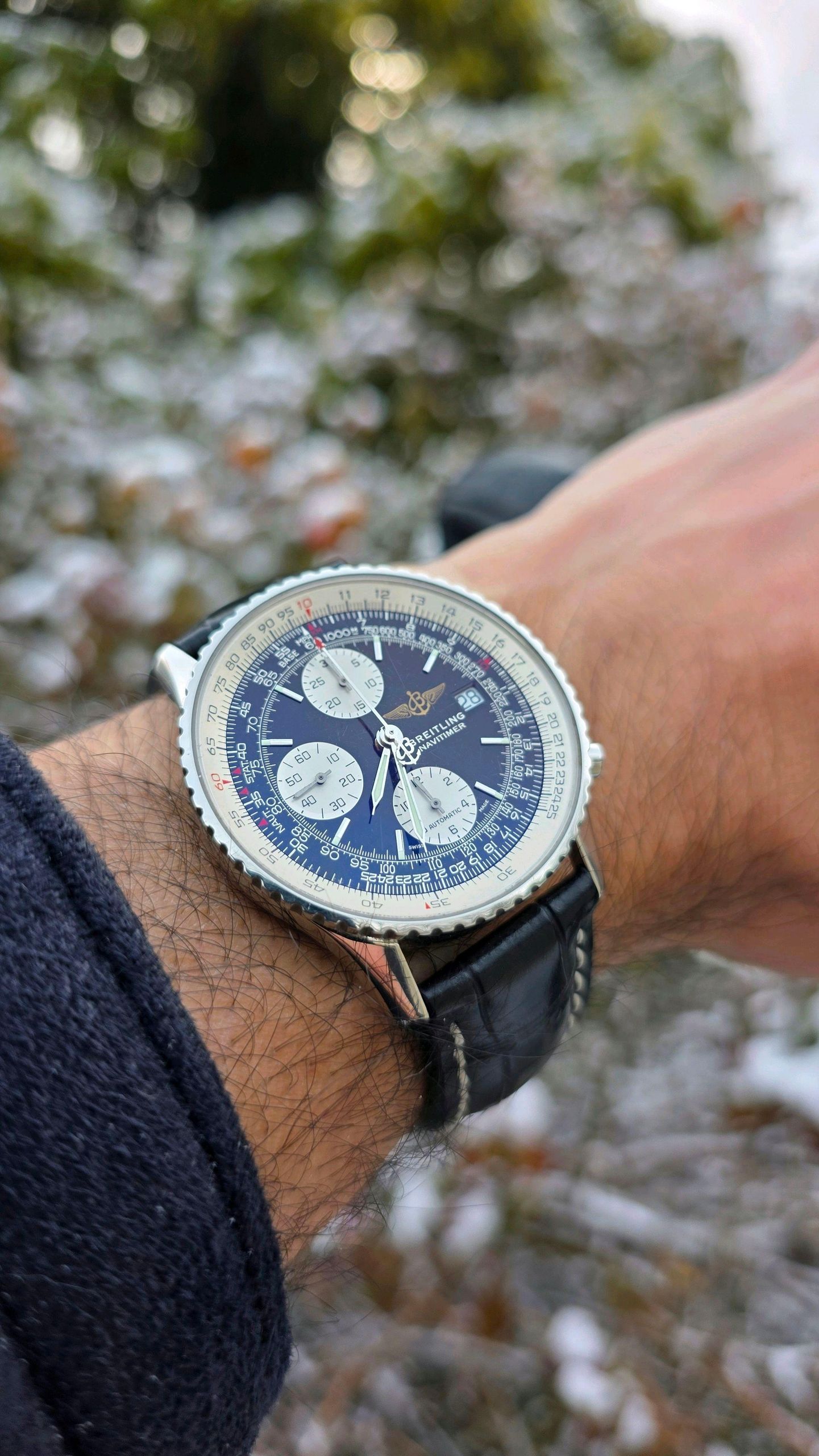 Time Looking Back At Us | WatchCrunch