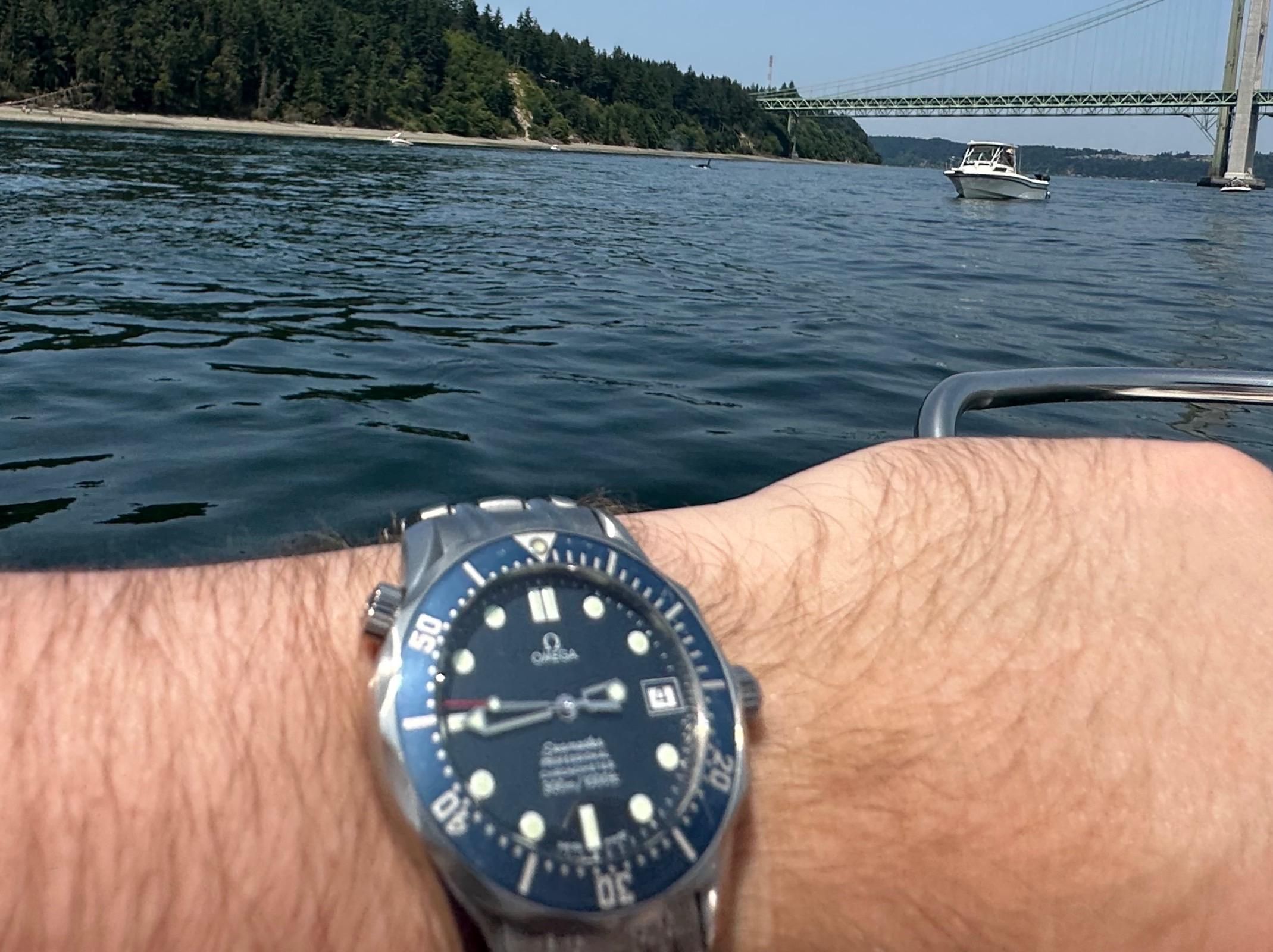 If you look real close in the distance you can see orca whales breaking ...