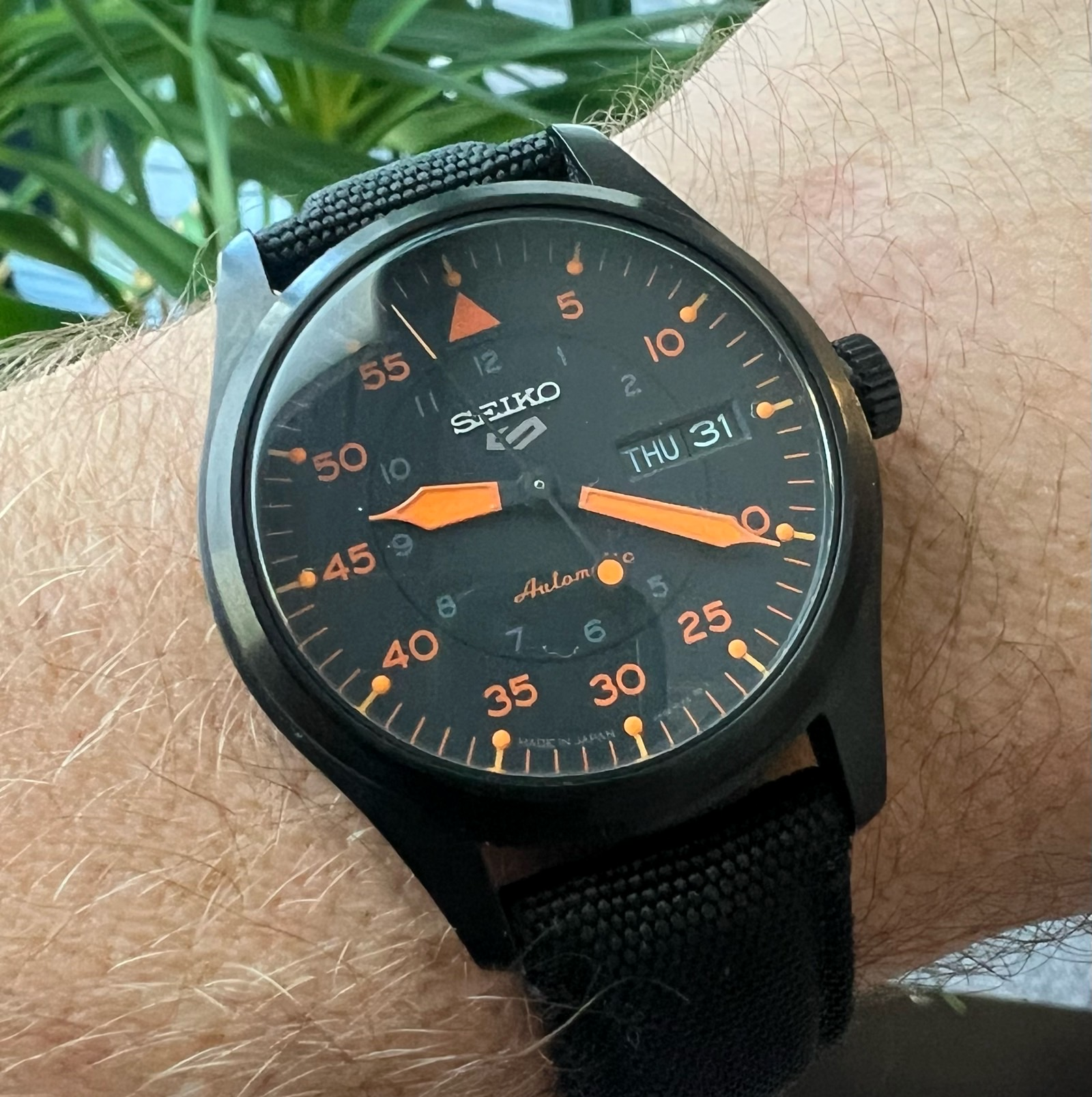 A watch for every occasion! 👻🎃 | WatchCrunch