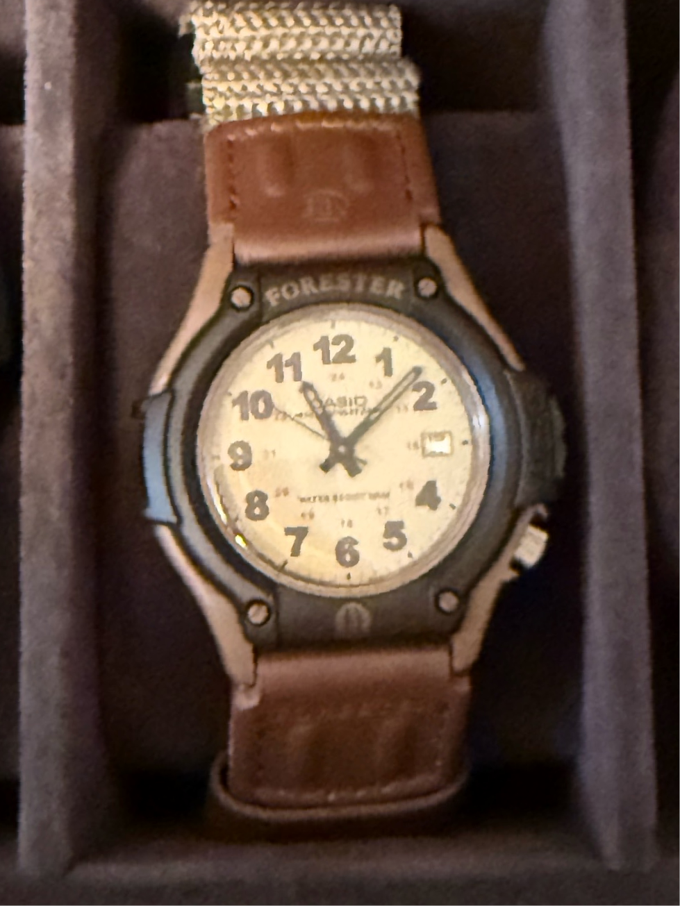 Casio Forester | WatchCrunch