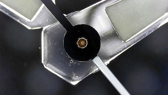 Watches under microscope vol. 11 Seiko SKX007 | WatchCrunch