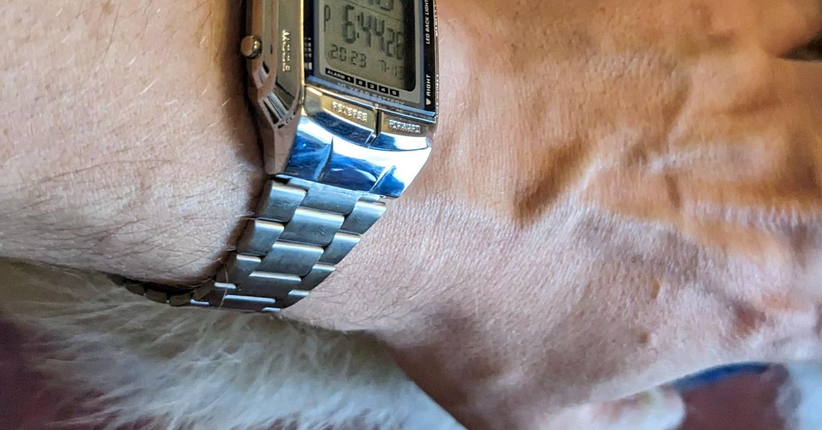 "The Toaster" | WatchCrunch