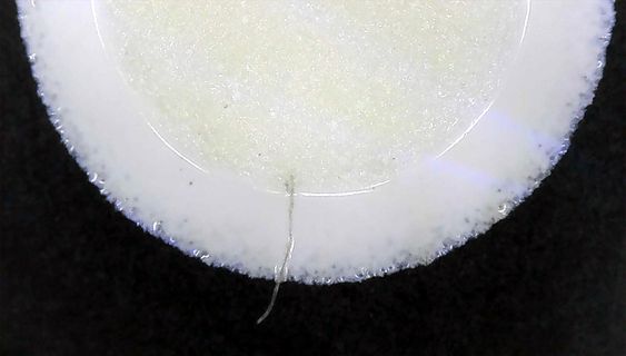 Watches under microscope vol. 11 Seiko SKX007 | WatchCrunch