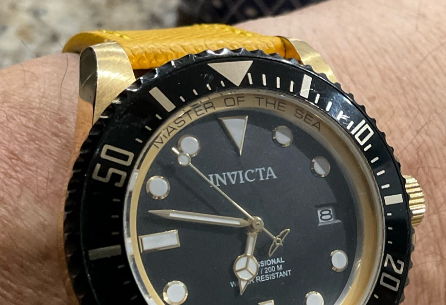 Invicta Master of the Sea Pro Diver | WatchCrunch