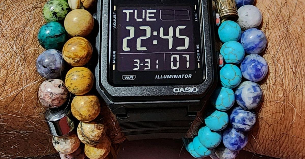 CASIO W-221H-1BV | WatchCrunch