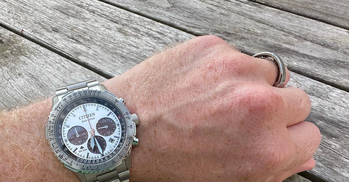 NWA Citizen Promaster Navihawk 40 CA4660-61A | WatchCrunch