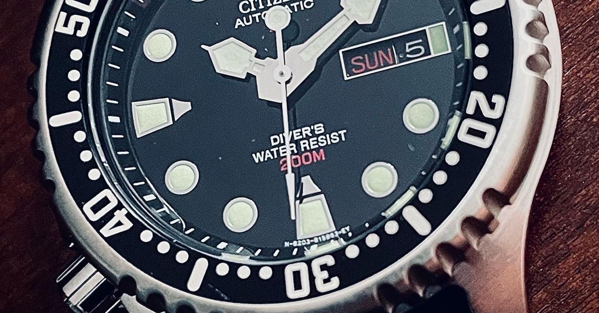 Citizen Promaster | WatchCrunch