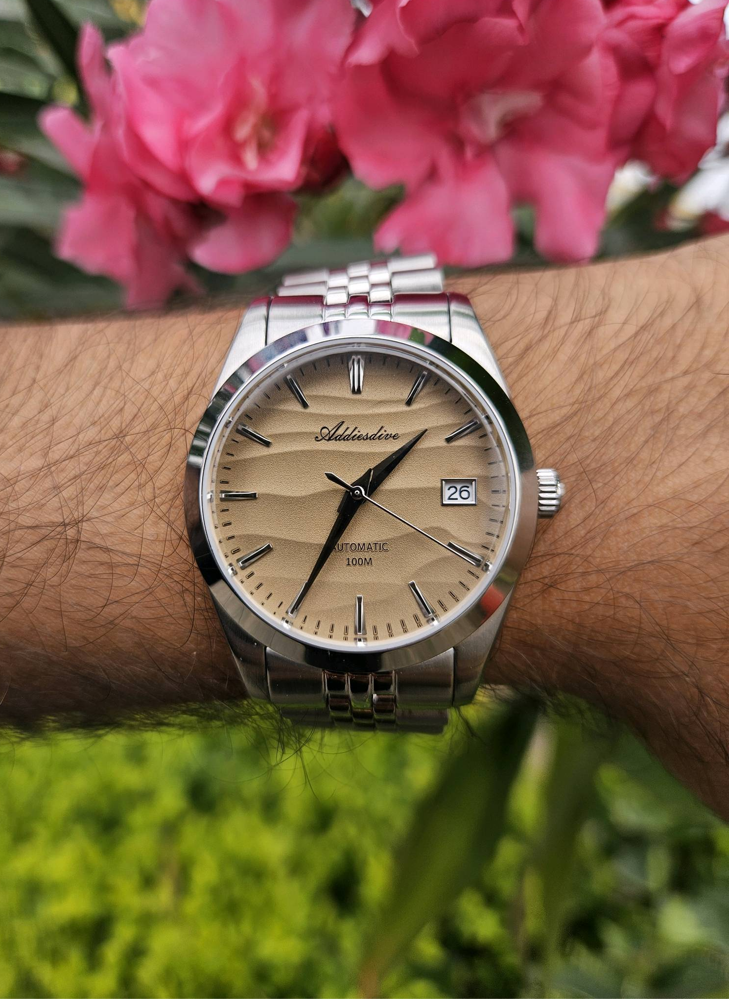Last NWA of 2024: A Surprise from My Wife 🎁⌚ Addisdive Automatic ...