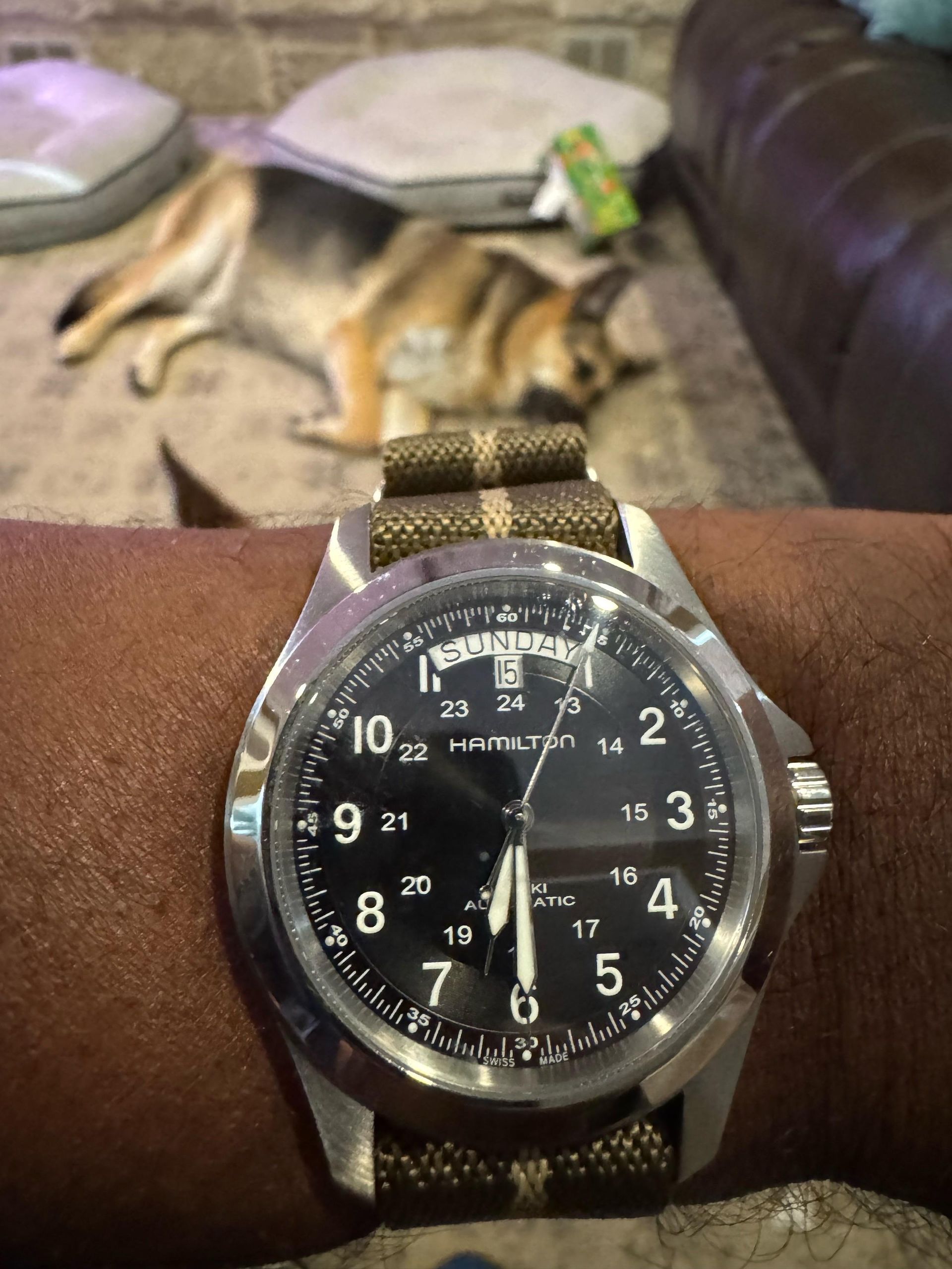 Wristcheck June 15, 2025 | WatchCrunch