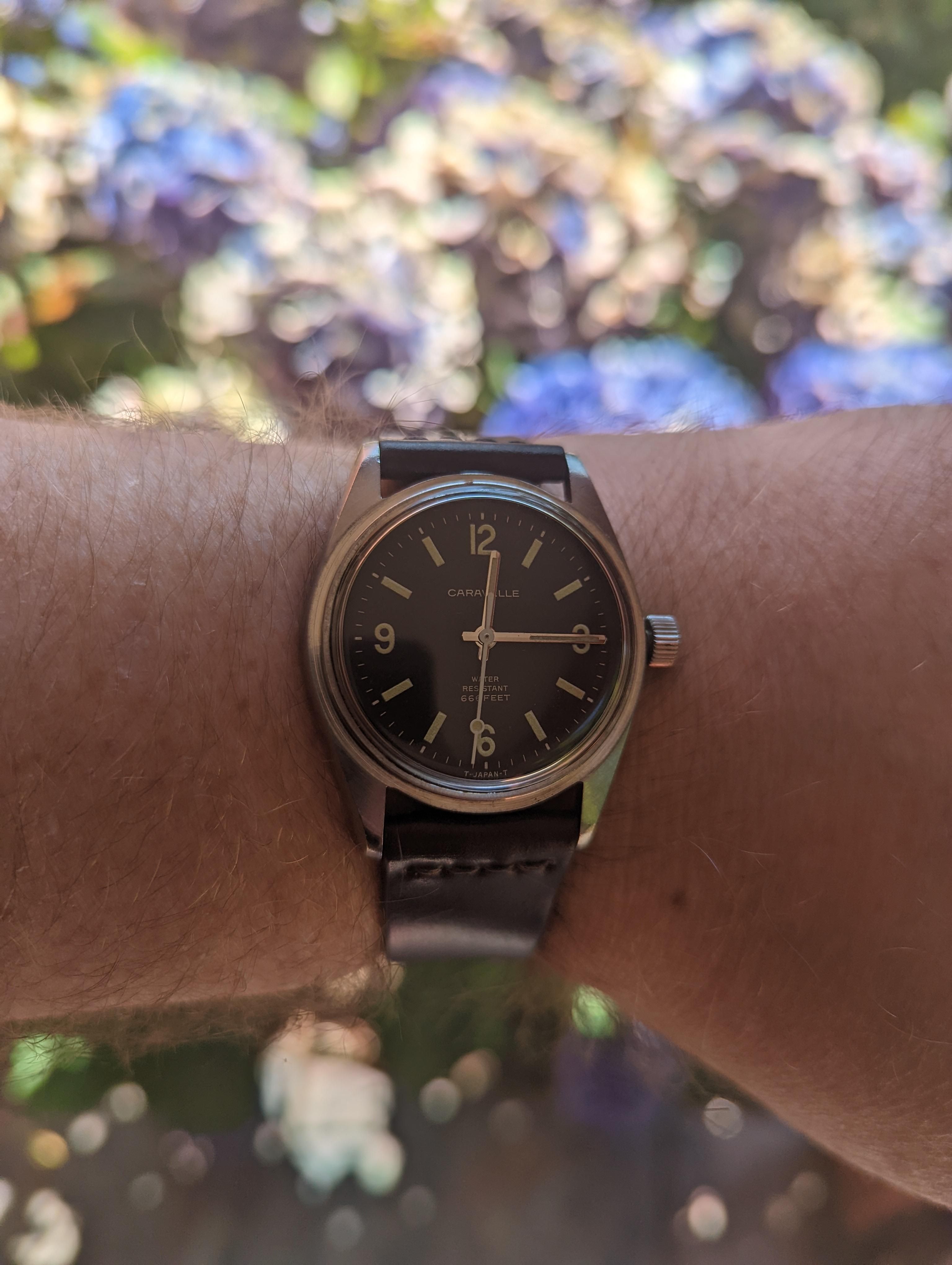 SOTC - I may be done | WatchCrunch