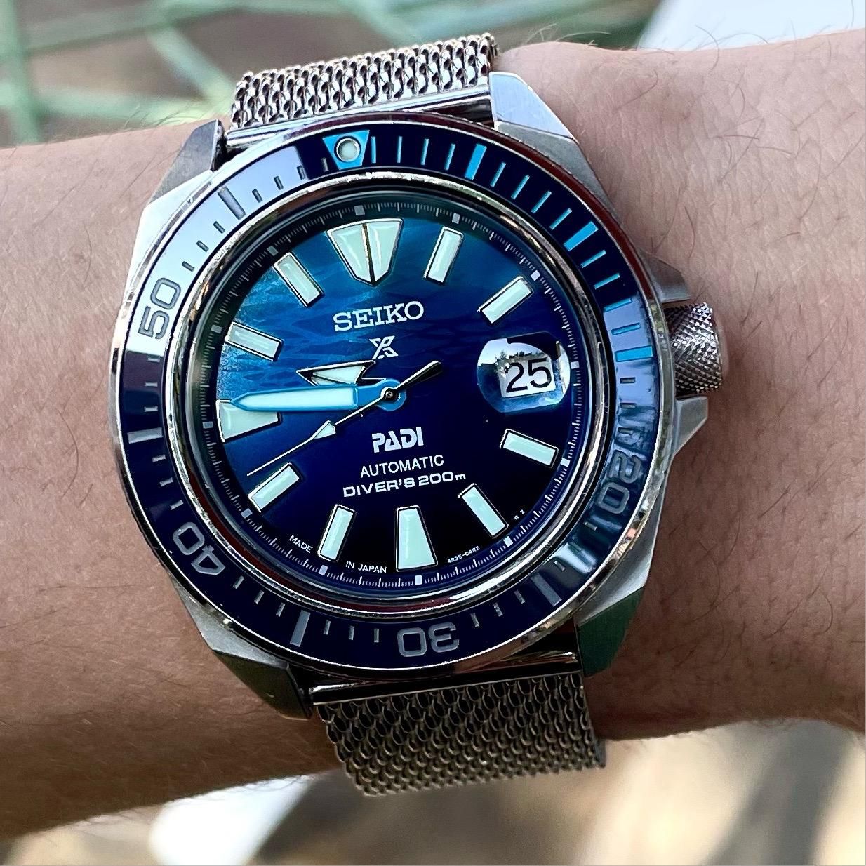 Danchak | WatchCrunch