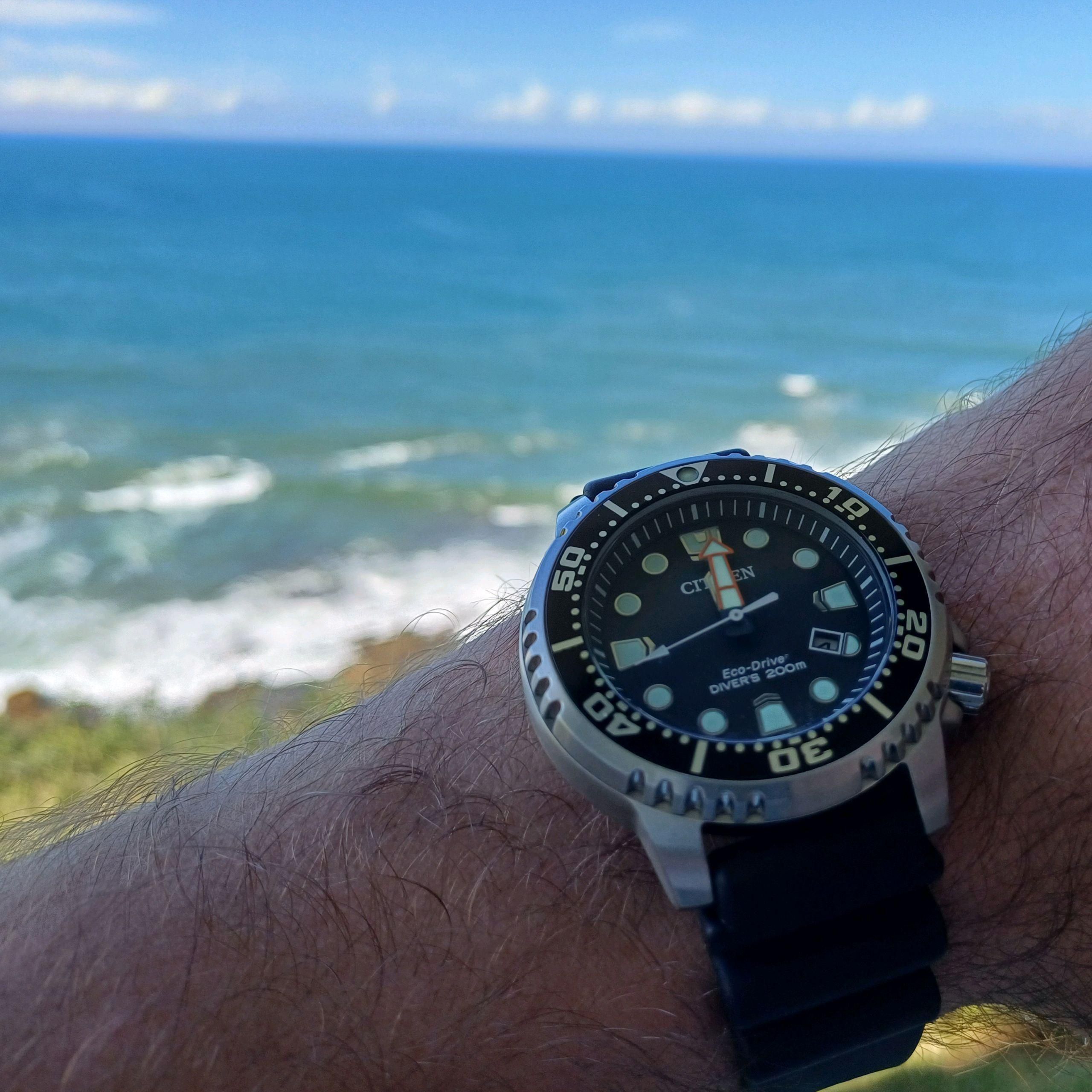 Citizen Promaster Diver | WatchCrunch