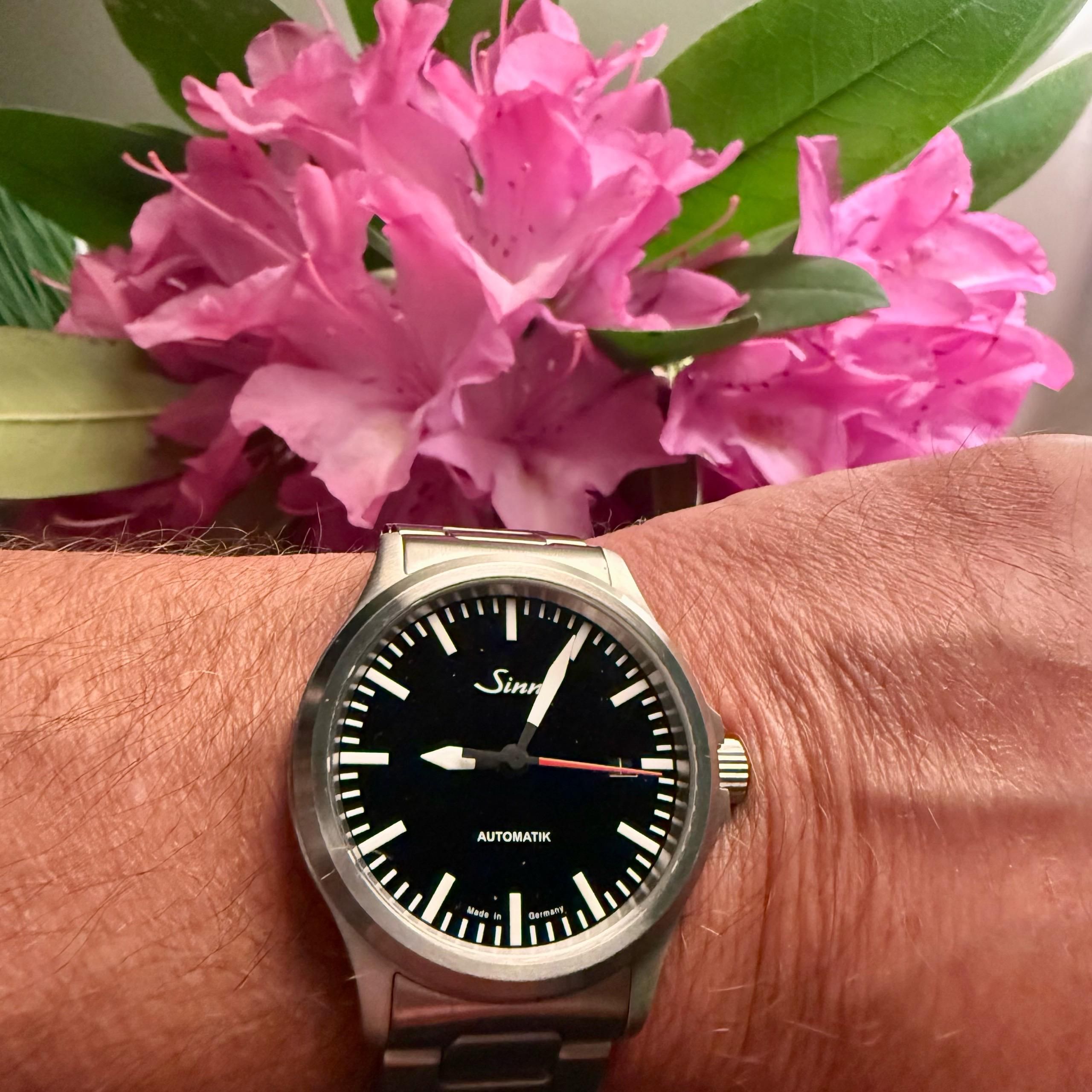 DMC_Watch | WatchCrunch