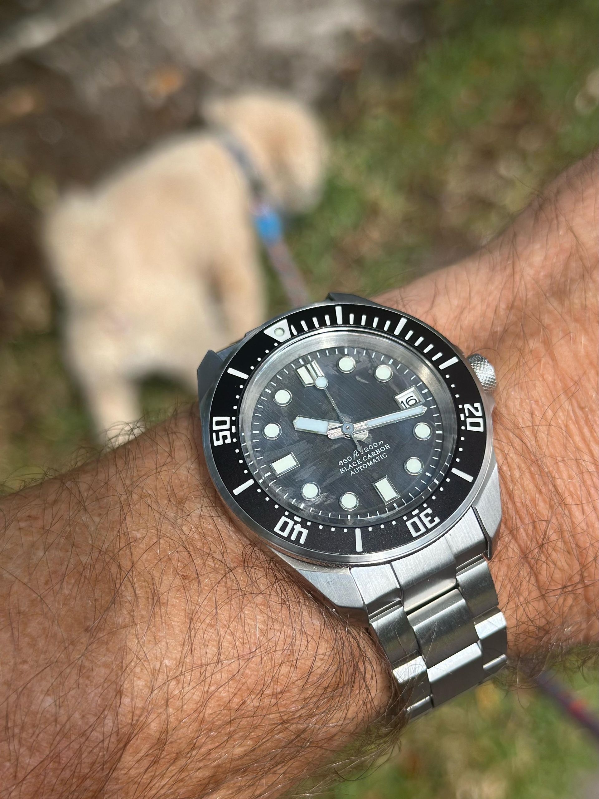 Wristcheck April 16, 2025 | WatchCrunch