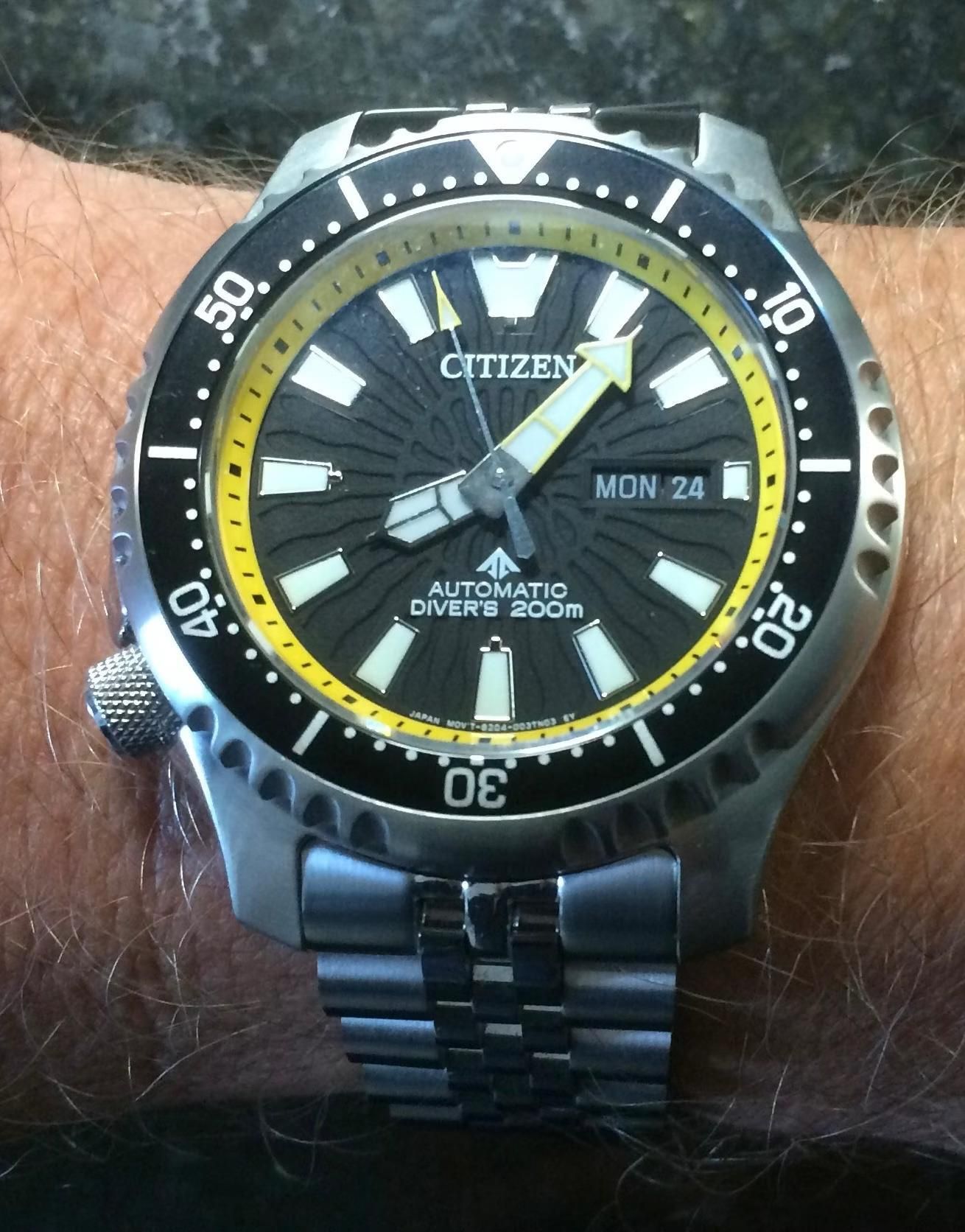 My Citizen Puffer Fish | WatchCrunch