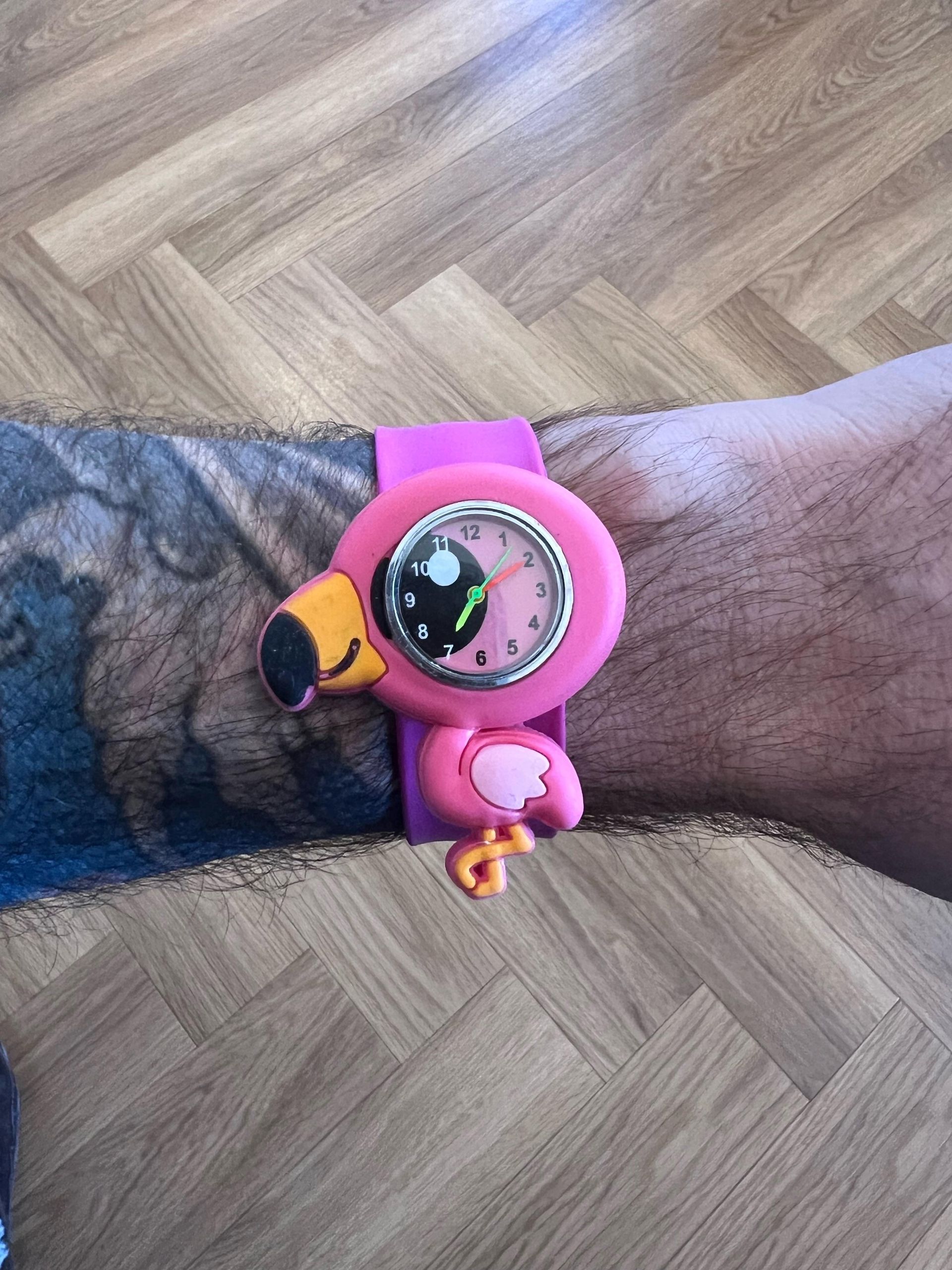 Flamingo Watch - Cheap Tat to get the kids hooked! | WatchCrunch