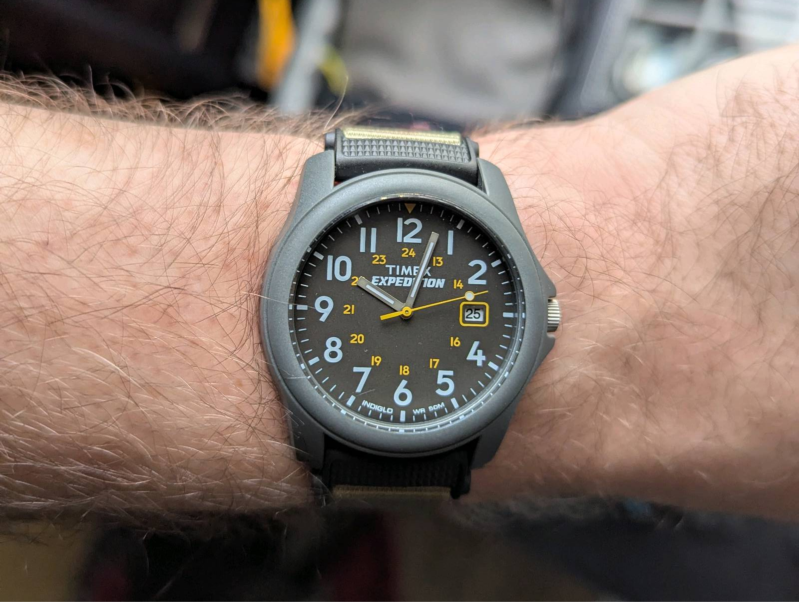 Timex Expedition Camper | WatchCrunch