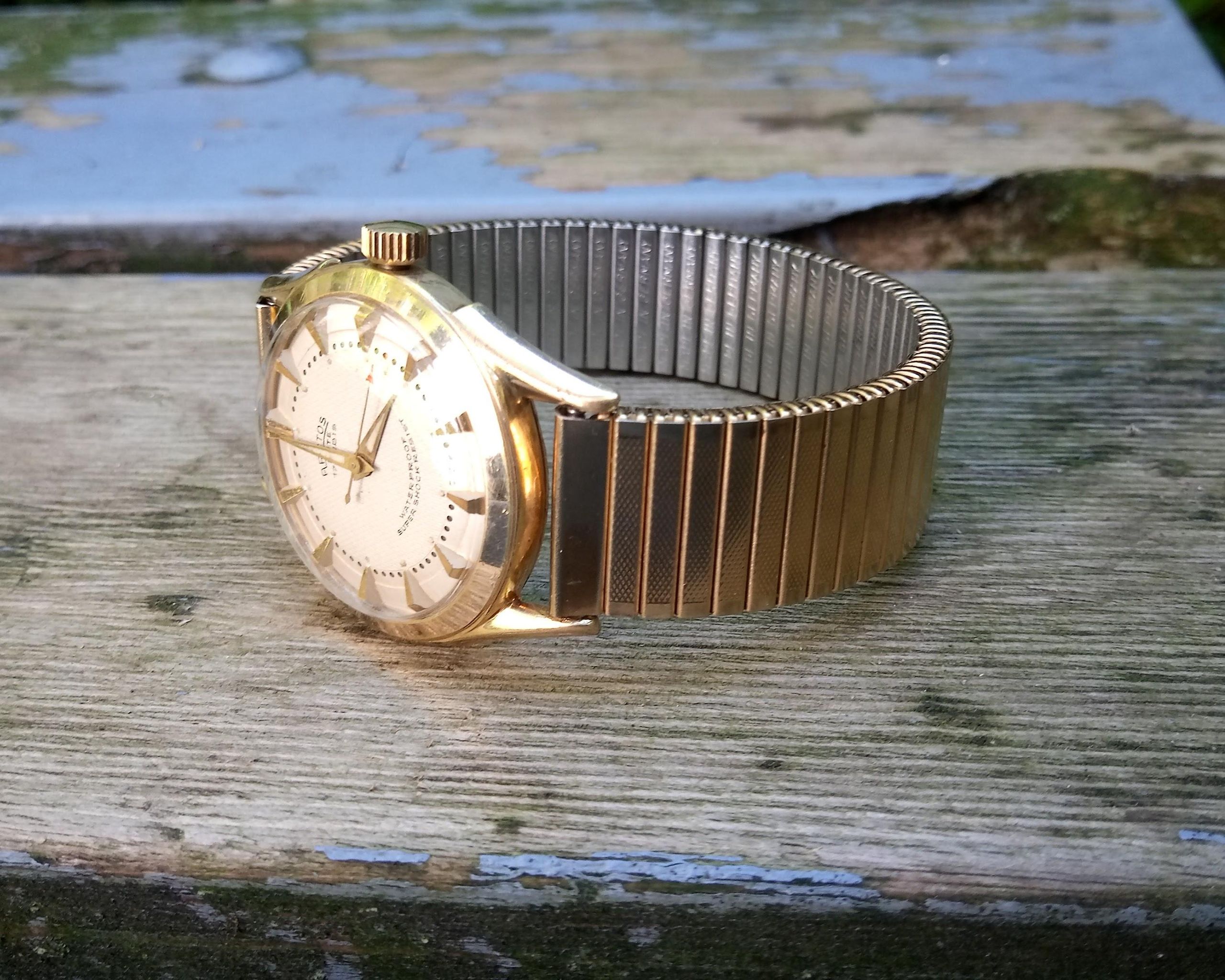 ARCTOS Elite: A Golden Timepiece from the Fifties Celebrating a Century ...