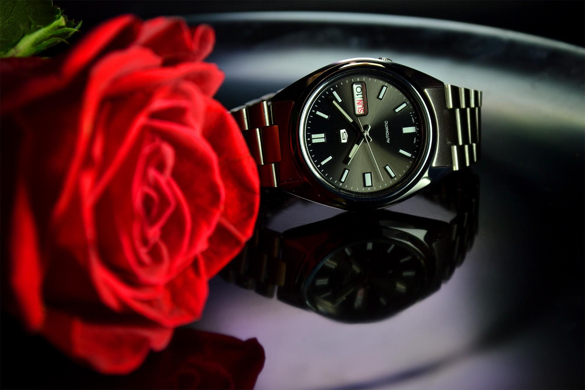 Seiko SNXS79 Review | WatchCrunch