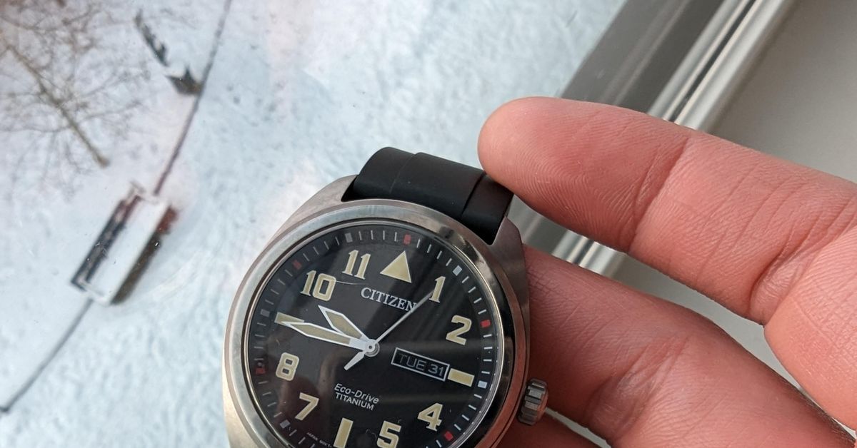 Citizen Strap Options | WatchCrunch