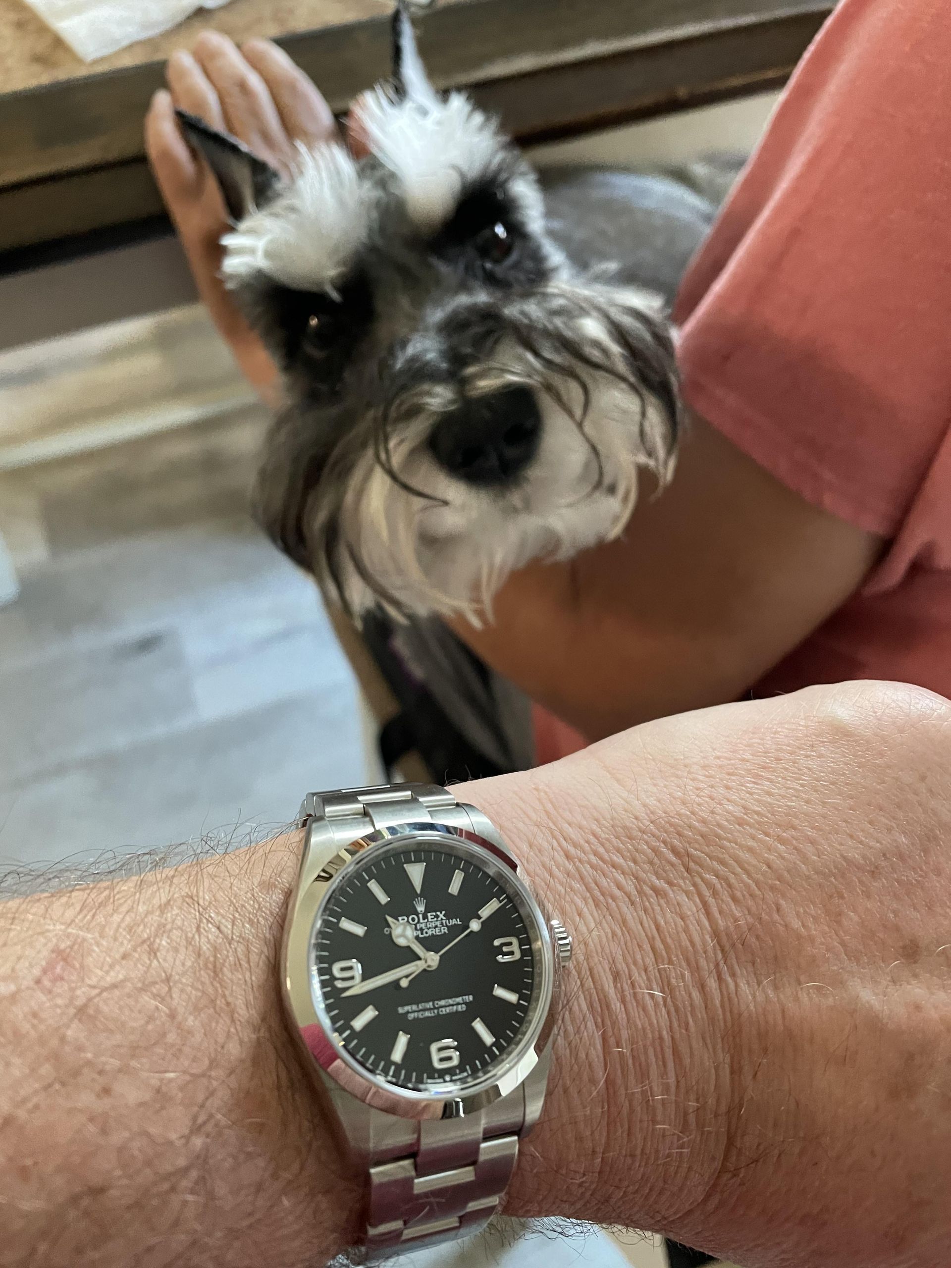 Wristcheck September 13, 2025 | WatchCrunch