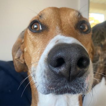 genericjohn | WatchCrunch