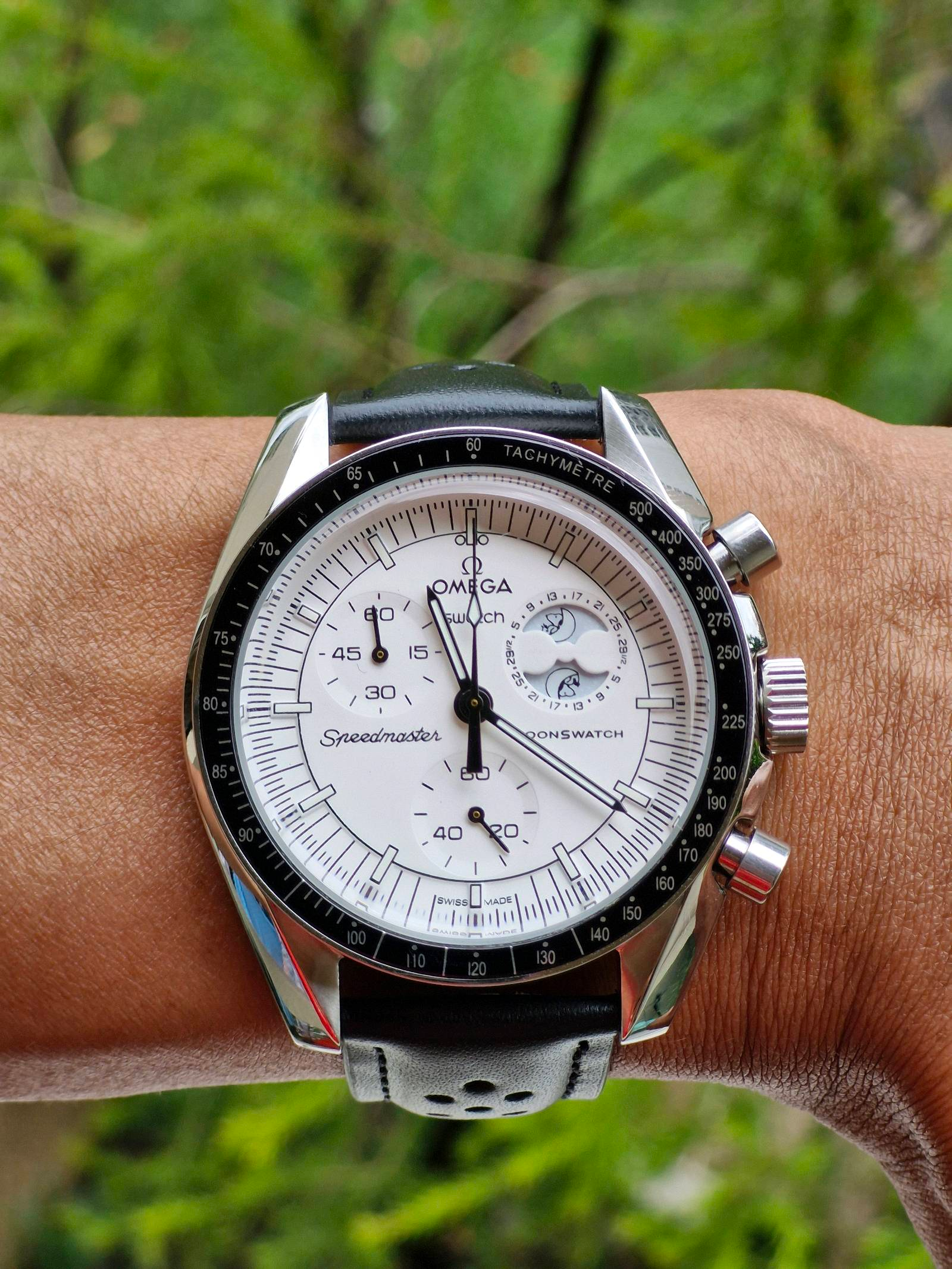 Moonswatch Metal Case | WatchCrunch