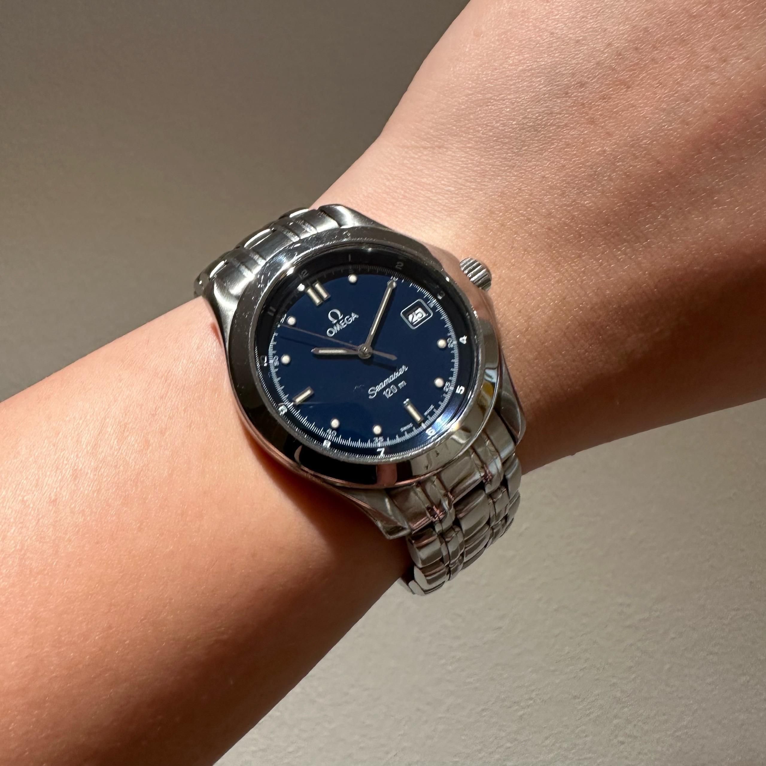 Omega Seamaster 120 | WatchCrunch