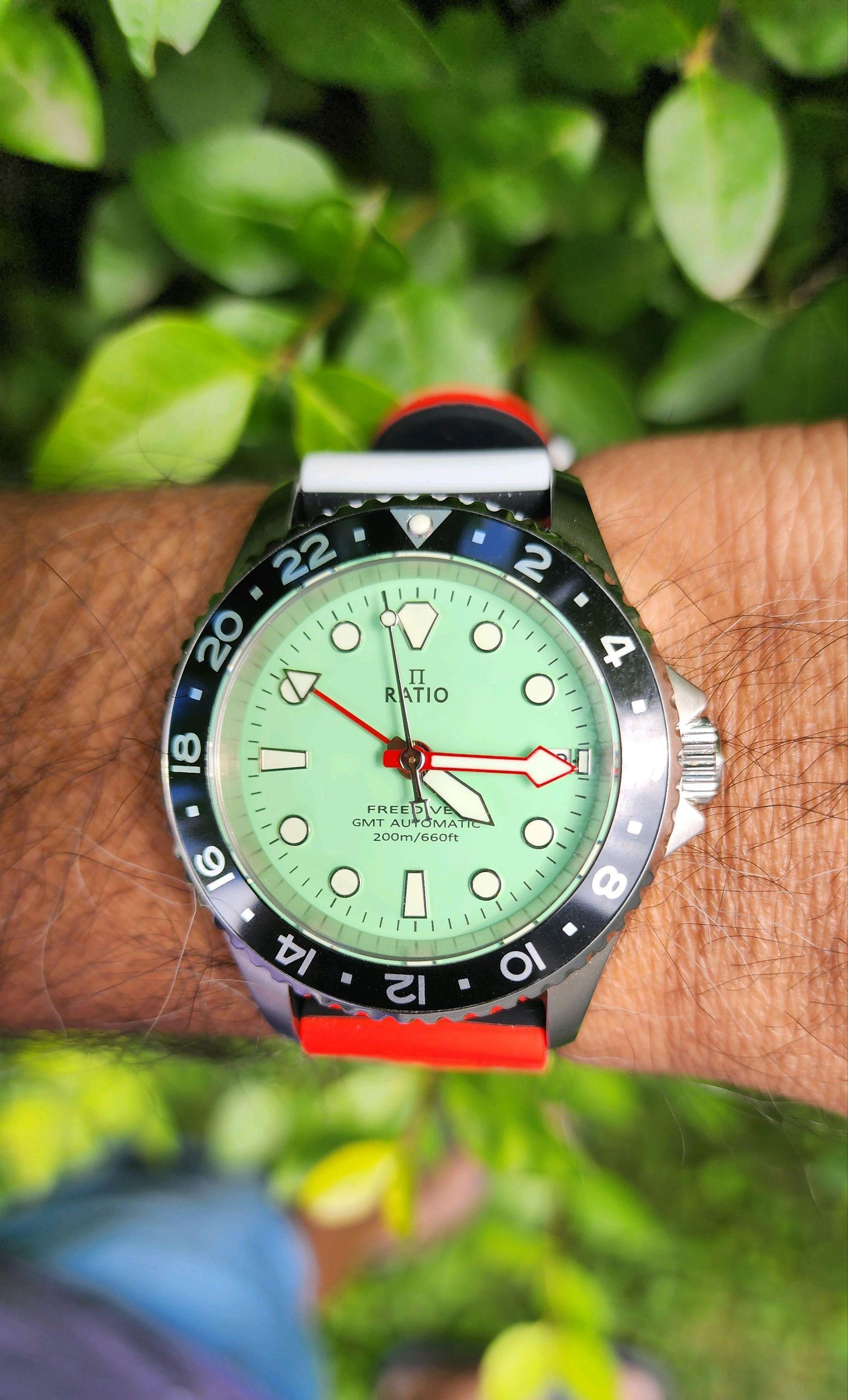 RATIO FreeDiver GMT | WatchCrunch