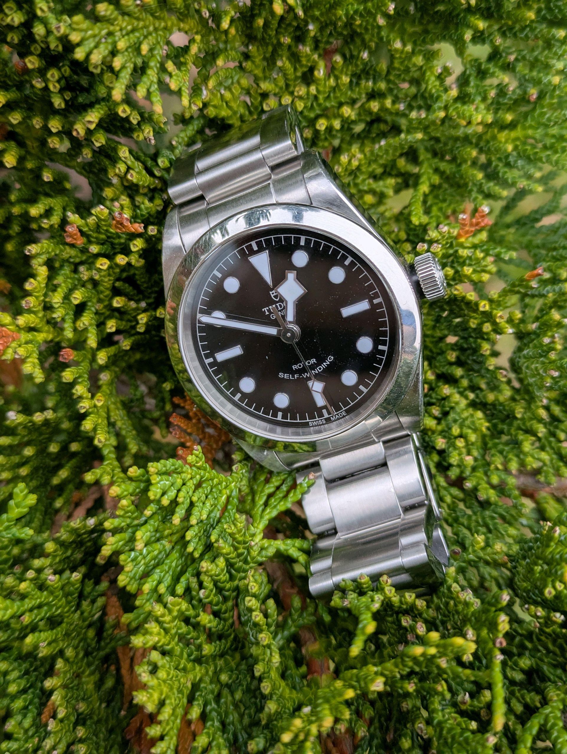 Wristcheck January 18, 2025 | WatchCrunch